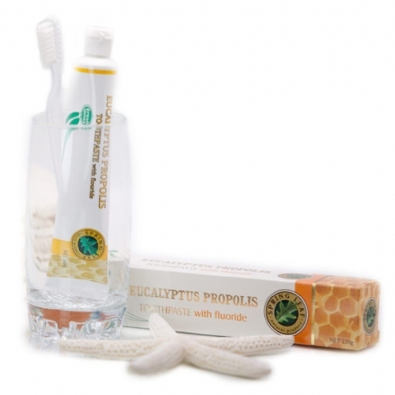Spring Leaf Eucalyptus Propolis Toothpaste with Fluoride 120g - Health ...